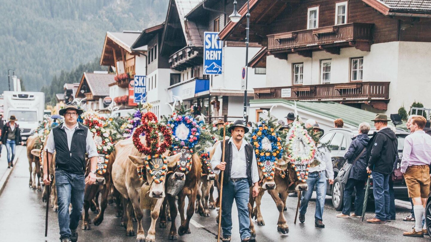Almabtrieb in Gerlos | Tirol | Zillertal ARENA